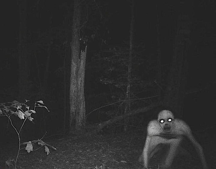 Makhluk Mengerikan di Hutan, Lousiana