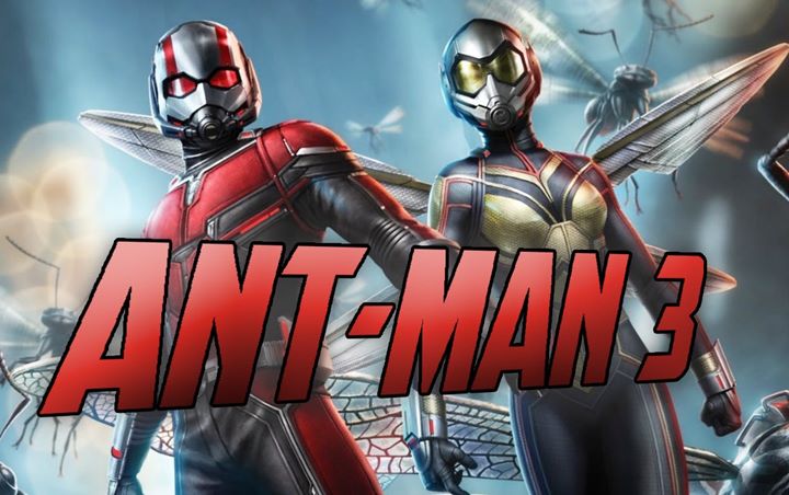 'Ant-Man 3' Bakal Diproduksi, Lebih Eksplorasi Quantum Realm