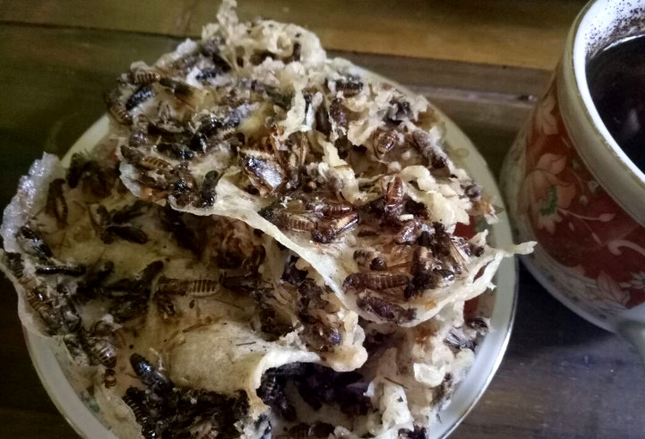 Rempeyek Laron yang Gurih Asal Jawa Tengah