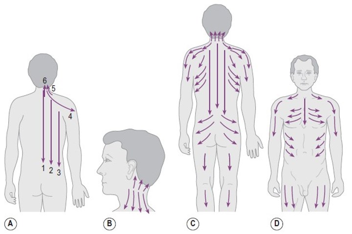 8 Fakta Unik Soal Kerokan, Mulai Asal Usul Hingga Jadi Praktik Rumus Fisika