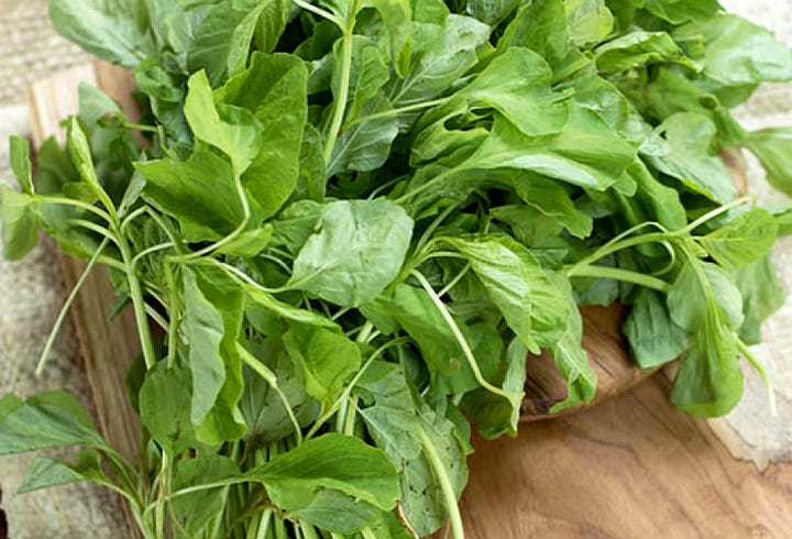 Bayam Kaya akan Vitamin A