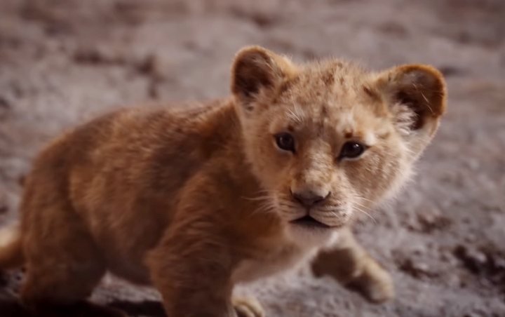 Trailer Perdana 'The Lion King' Ajak Penggemar Bernostalgia Lewat ...