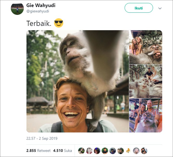 Ternyata Ini Rahasia Foto Bule Selfie Bersama Monyet di Bali