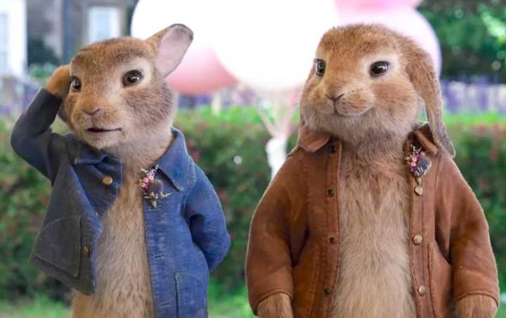 Teaser Trailer Perdana 'Peter Rabbit 2: The Runaway' Tampilkan ...