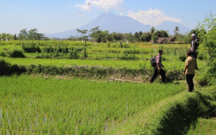 Batu Makara Abad ke-9 di Klaten Hilang, Dijadikan Talud Sawah?