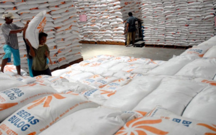Bulog Bakal Lelang 20 Ribu Ton Beras Rusak Dengan Harga Murah, Berapa ...