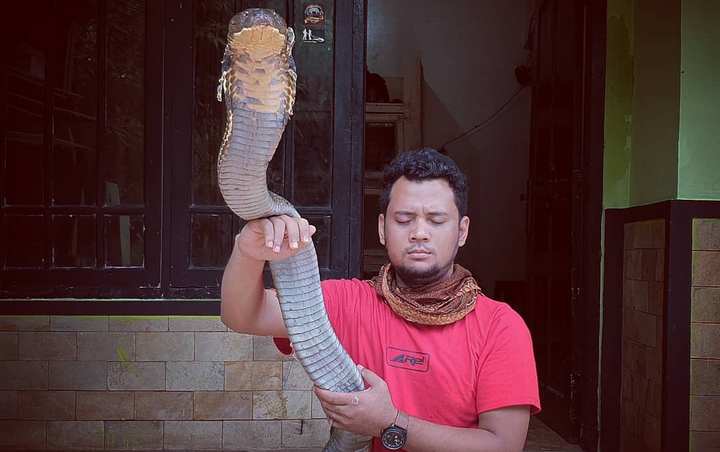 Biasa Garang, Garaga Milik Panji Petualang 'Melempem' Saat Bertemu ...