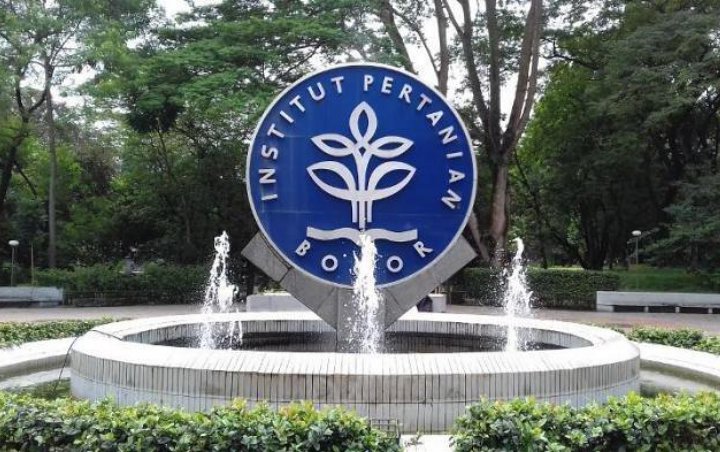 Kalahkan ITB dan UI, IPB Jadi Universitas Terbaik di Indonesia