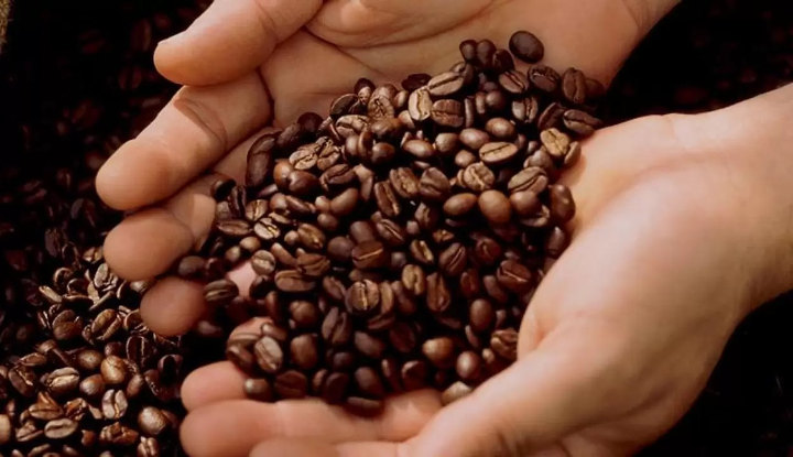 Kopi Java Ijen Raung