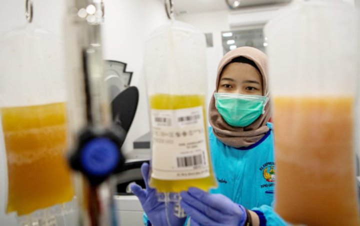 Dibandrol Rp 63 Juta per 13 Botolnya, Apa itu 'Obat Corona' Gamaras?