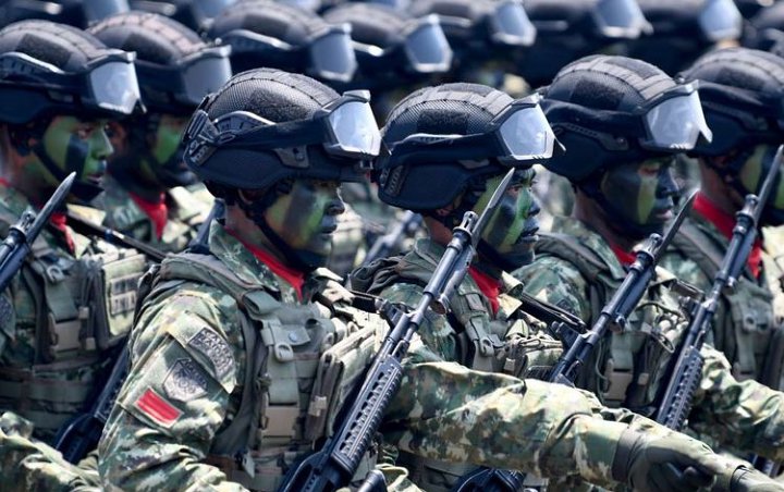 Pengamat Militer Nilai TNI Perlu Pertimbangkan Terima Prajurit LGBT ...