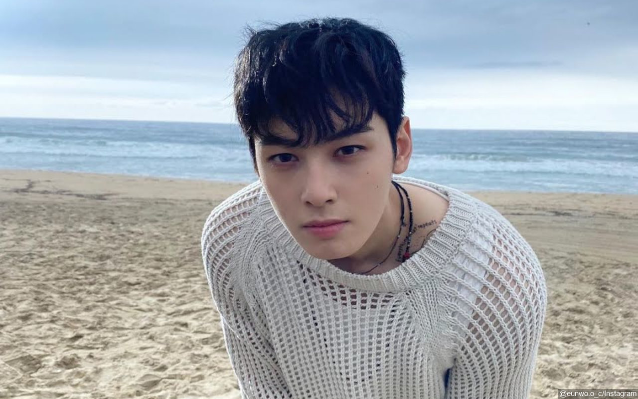 Karier Impian Cha Eunwoo Jika Tak Jadi Idol Bikin Member ASTRO Syok ...