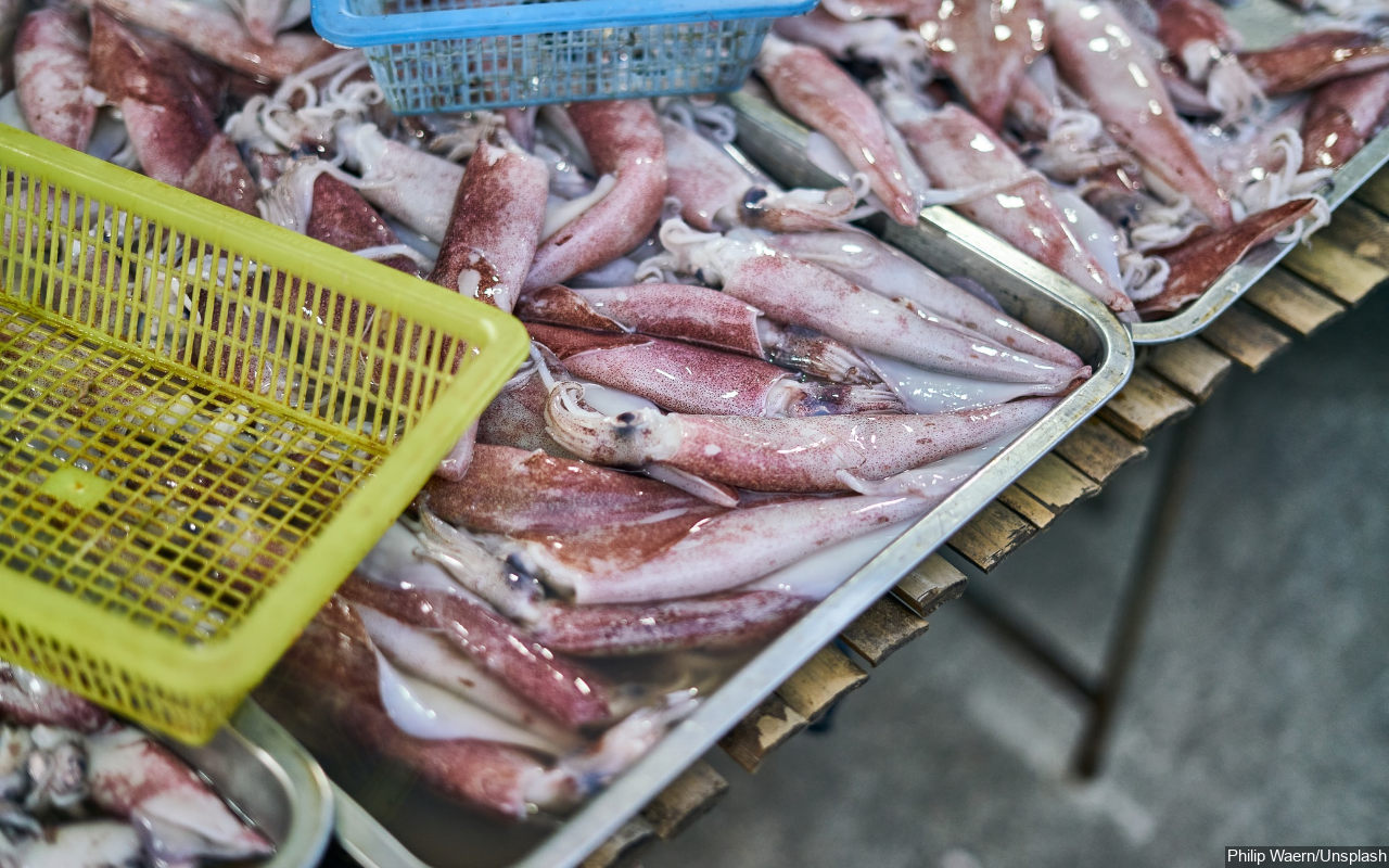 'Squid Shots' Ngetren di Thailand, Pemerintah Ingatkan Bahaya Serius ...