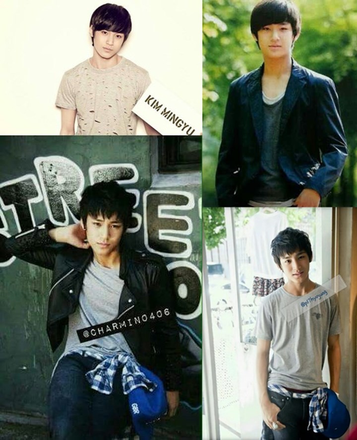 Birthday Spotlight: Happy Mingyu Day