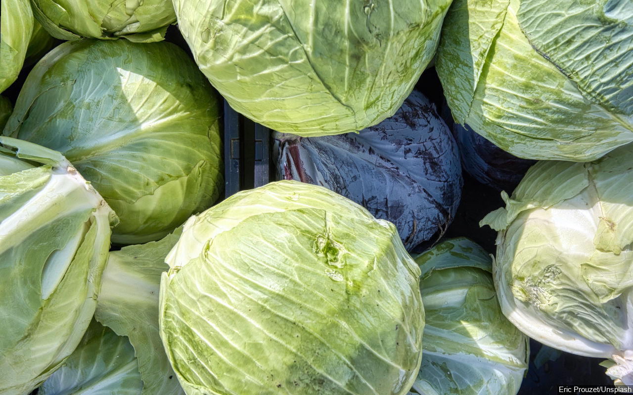 KFC Ganti Selada dengan Kubis, Perdana Menteri Australia Bakal Bawa ke ...