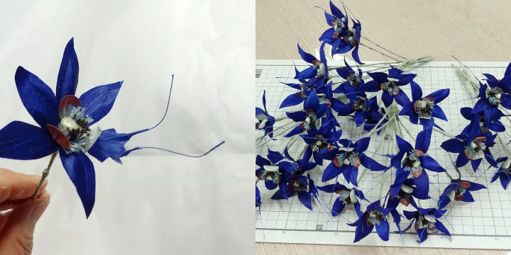 Anggrek Biru Jadi Simbol Penting 'Little Women', Butuh Detail Sulit ...