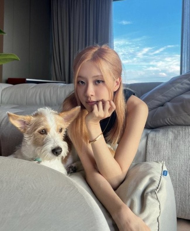 Netter Terpukau Lihat Aura Mahal Anjing Rose Usai Pakai Produk Mewah ...