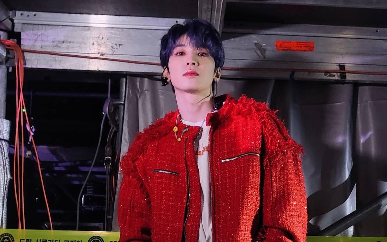 Wonwoo SEVENTEEN Terpilih Jadi Idol Paling Mirip Kucing Pada Survey ...