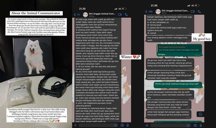 Wendy Lakukan Animal Communicator