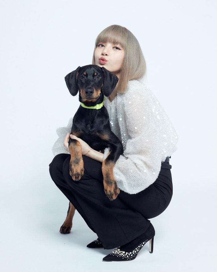 Lisa BLACKPINK Bak Jadi Mama Kucing Protektif, Intip 10 Potretnya Bucin ...