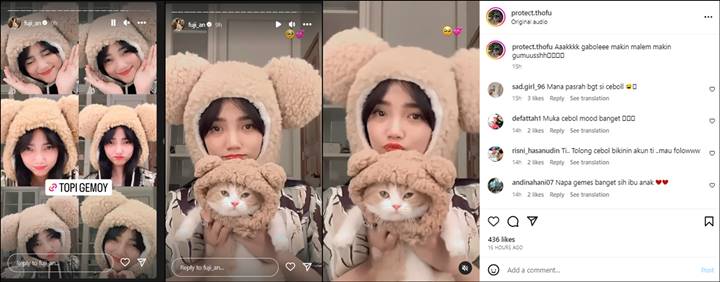Fuji An Kiyowo Pakai Topi Gemoy Murah, Ekspresi Kucing Diajak Kembaran ...