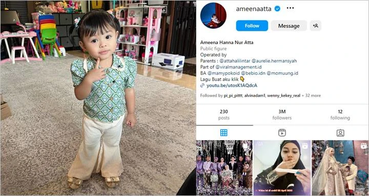 Ameena Hanna Nur Atta