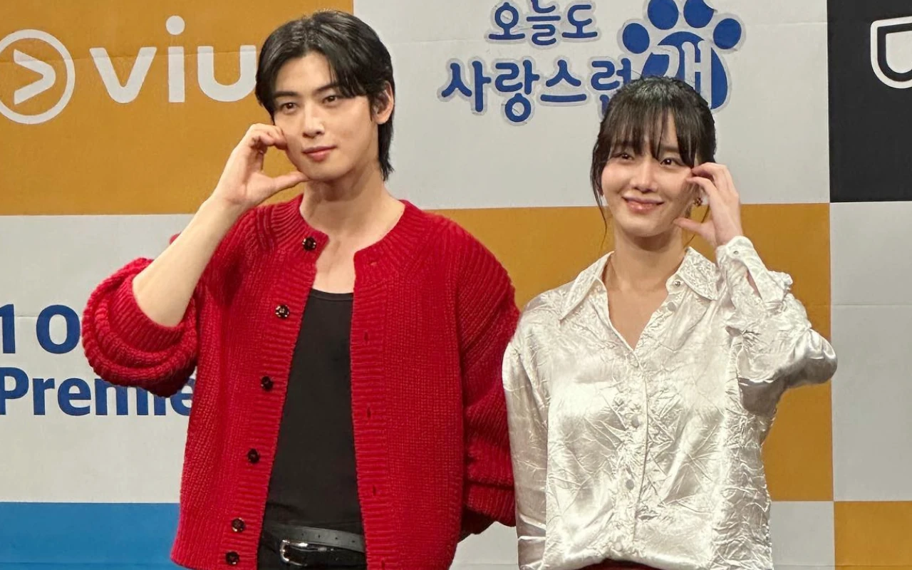 Kemiripan Park Gyu Young & Cha Eunwoo dengan Tokoh Webtoon 'A Good Day ...