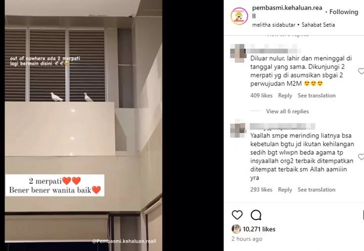 Penampakan 2 Burung Merpati di Rumah Duka Melitha Sidabutar Picu Reaksi ...