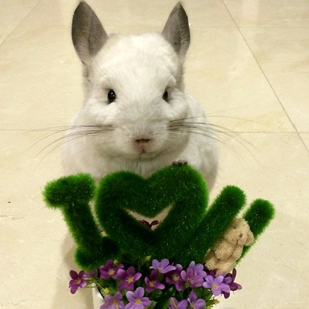 Gambar Foto Mengetahui BuBu Dicintai Banyak Orang, Angel F Merasa ...