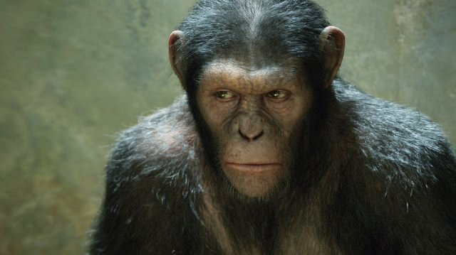 Trailer: Andy Serkis Benci Manusia di 'Rise of the Planet of the Apes'