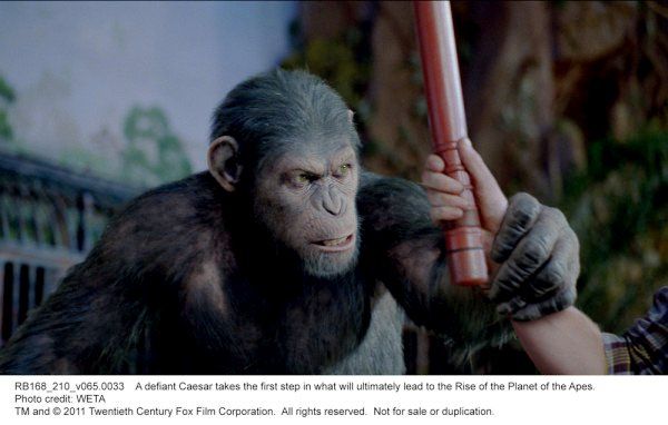 Trailer: James Franco Rawat Andy Serkis Sejak Kecil di 'Rise of the ...