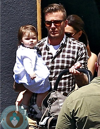 Putri David Beckham Sudah Ditawari Jadi Model