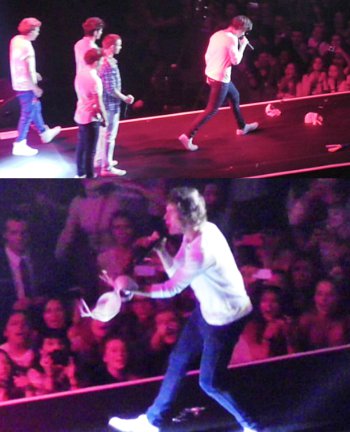 One Direction Dapat Bra Saat Konser di New York