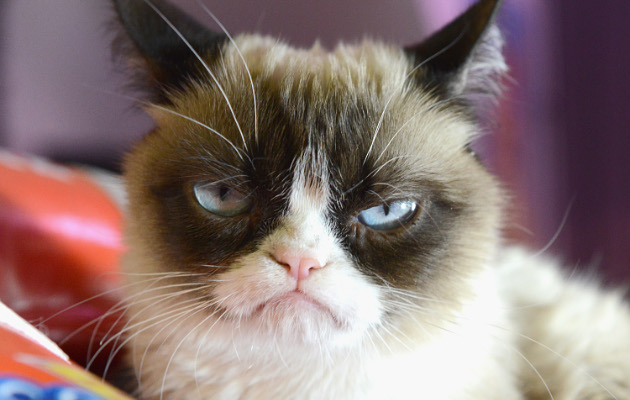 YouTube Rayakan Ulang Tahun Ke-10 Bersama Grumpy Cat