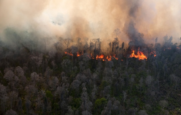 Kebakaran Hutan Riau Makin Parah, Singapura Diselimuti Kabut Asap