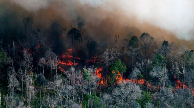 Kabut Asap Kebakaran Hutan Riau Sampai Singapura, Begini Tanggapan JK