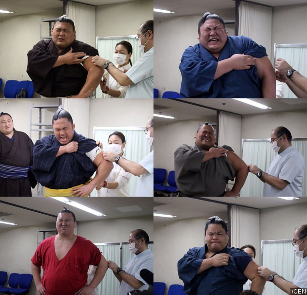 Bikin Ngakak, Intip Ekspresi Ketakutan Para Sumo Saat Disuntik