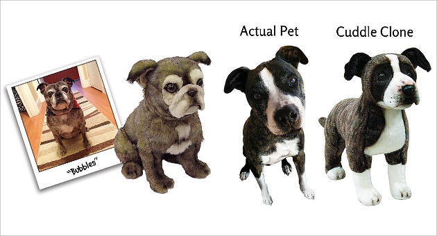 Lucunya Boneka Costom Handmade Kloningan Binatang Peliharaan