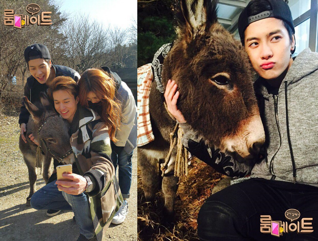 Jackson GOT7 Dapat Kado Ultah Keledai di 'Roommate'