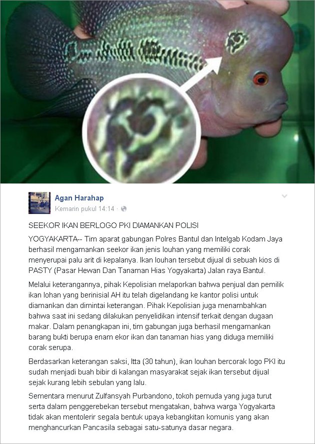 Netter Heboh, Beredar Foto Ikan Louhan Bercorak Lambang PKI