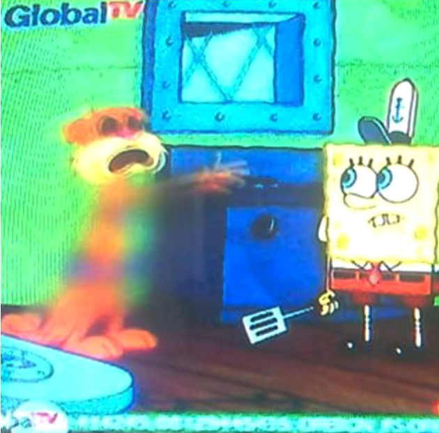 Netter Prihatin Tupai Pakai Bikini di 'Sponge Bob' Disensor, Bagaimana ...