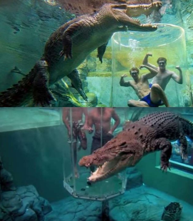 10 Tempat Uji Nyali di Dunia Ini Bahaya Banget, Coba Nomor 8 Ngeri Bro...